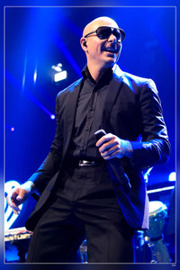 Pitbull Rappers Matte Finish Poster Paper Print - Animation & Cartoons ...