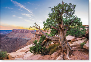 Nature Wall Poster 3M Double Sided Tape Wall Design High Resolution ...