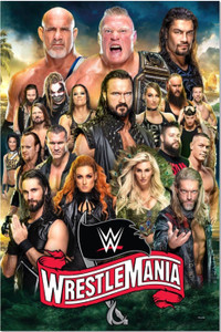 WWE Posters for Wall Decoration (12 x 18 inch), WWE Wall Poster ...