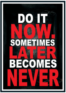 Poster Motivational Poster Now Later Never sl-14622 (LARGE Poster ...
