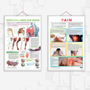 SHOULDER, ARMS AND HANDS chart and PAIN chart | combo of 2 Charts ...