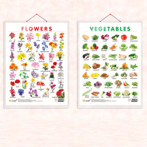 FLOWERS CHART HARD LAMINATED and VEGETABLE CHART HARD LAMINATED | combo ...