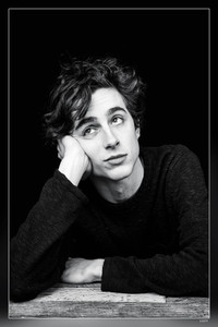 Timothee Chalamet Tim Timmy Matte Finish Poster P-11879 Paper Print ...