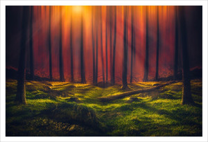 Wall Poster (Sun light,Surface Covering Area - 24 x 18 Inch) Paper ...