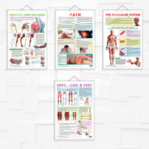 SHOULDER, ARMS AND HANDS, PAIN, THE MUSCULAR SYSTEM and HIPS, LEGS AND ...