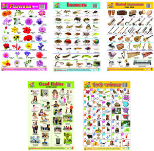 Combo of 5 Learning Charts Flowers | Good Habits | Hindi Varnmala ...