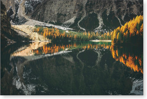 Nature Wall Poster 3M Double Sided Tape Wall Design High Resolution ...