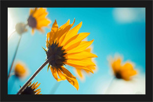 Flower Scenery Nature Poster with A4 Size Frame F-238 Paper Print ...