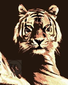 Tiger Poster | Tiger Posters for Room | Unframed | With Self Adhesive ...