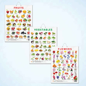 FRUITS CHART GLOSS LAMINATED, FLOWERS CHART GLOSS LAMINATED, and ...