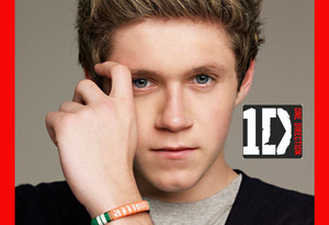 Poster Niall Horan One Direction sl-14823 (Wall Poster, 13x19 Inches ...