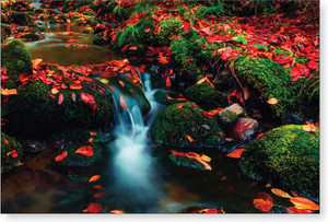 Nature Wall Poster 3M Double Sided Tape Wall Design High Resolution ...