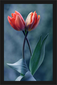 Flower Scenery Nature Poster with A4 Size Frame F-229 Paper Print ...