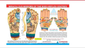 Reflexology Chart - Foot & Hand Paper Print (18 inch X 12 inch) Fine ...