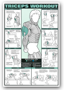 Motivational Inspirational Triceps Workout Exercise Gym Poster - 24 x ...