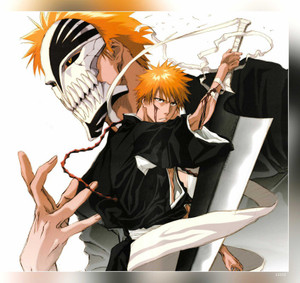 Bleach (Japanese Anime Tv Series) Matte Finish Poster Paper Print ...