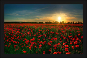 Flower Scenery Nature Poster with A4 Size Frame F-193 Paper Print ...