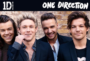 Poster One Direction The British Boy Band sl12193 (Wall Poster, 13x19 ...