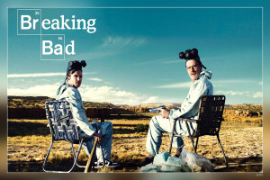 Breaking Bad - A Netflix Series Matte Finish Poster Paper Print ...