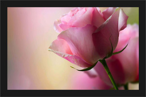 Flower Scenery Nature Poster with A4 Size Frame F-308 Paper Print ...