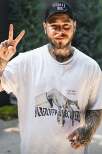 Post Malone Poster for Room Wall Decoration, Size - 12 X 18 inches ...