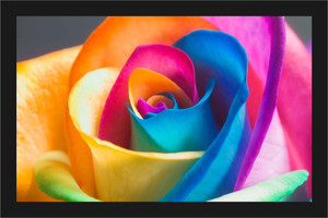 Flower Scenery Nature Poster with A4 Size Frame F-196 Paper Print ...