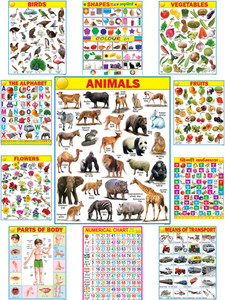 All in One Learning Educational Charts for Kids with Colourful Pictures ...
