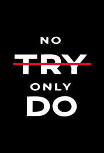 Attractive Poster / NO TRY ONLY DO /Poster for Home/Temple/Office/Size ...