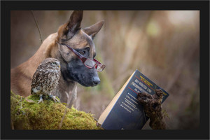 Funny Jokes Comedy Poster with A4 Size Frame F-498 Paper Print - Nature ...