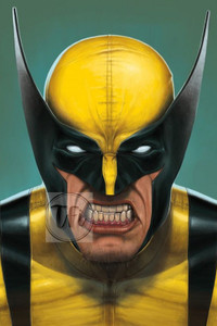 Superhero Wolverine Poster, Unframed, With Double Sided Tape Paper ...