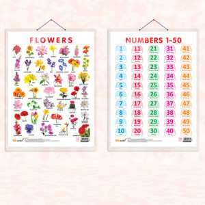 FLOWERS CHART HARD LAMINATED and NUMBER 1-50 CHART HARD LAMINATED ...