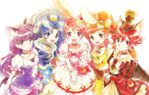 Precure Pretty Cure Anime Series hd Matte Finish Poster Print Paper ...