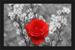 Flower Scenery Nature Poster with A4 Size Frame F-247 Paper Print ...