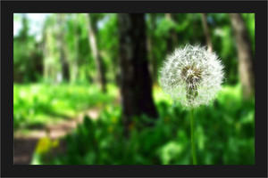 Flower Scenery Nature Poster with A4 Size Frame F-283 Paper Print ...