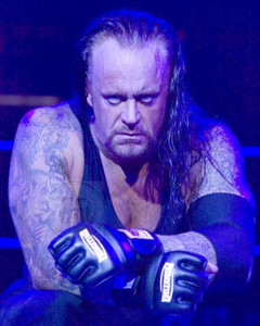 WWE Superstar Posters (The Undertaker) | Unframed | HD High Resolution ...