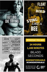 Poster 4 Combo, Gym Motivational Quotes|Quotes Poster | GYM Workout ...