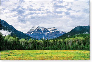 Nature Wall Poster 3M Double Sided Tape Wall Design High Resolution ...