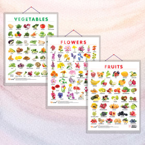 FRUITS CHART HARD LAMINATED, FLOWERS CHART HARD LAMINATED, and ...