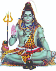 Lord Shiv ji Poster (12x18 Inch, 300GSM Thick Paper with Gross ...
