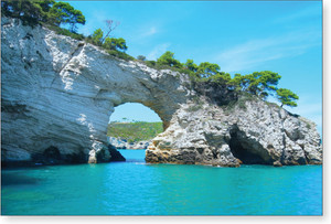 Nature Wall Poster 3M Double Sided Tape Wall Design High Resolution ...