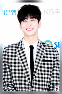 Cha Eunwoo South Korean Actor Singer Matte Finish Poster Paper Print ...