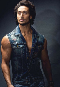 Poster Tiger Shroff Scene sl-18270 (Large Poster, 36x24 Inches, Banner ...