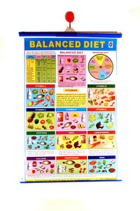 NutriGuide: Your Comprehensive Balanced Diet Companion|Useful for ...