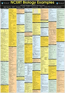 NCERT Biology Chart | 25 x 36 inch | LAMINATED | 2022 Edition Canvas ...