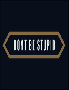 Unique Artwork Dont Be Stupid Inspirational Poster (12 X 18 Inch) Paper ...