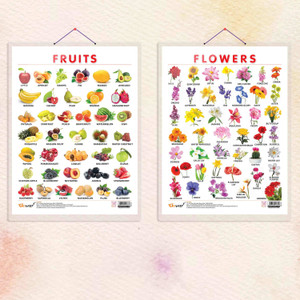 FRUITS CHART HARD LAMINATED and FLOWERS CHART HARD LAMINATED | combo of ...