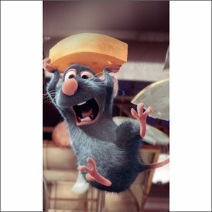 Funny Cartoon Wall Poster Senry Paper Print - Funny Cartoon Senry ...