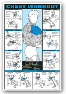 Motivational Inspirational Chest Workout Exercise Gym Poster - 24 x 36 ...