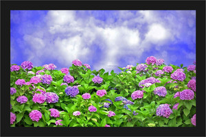 Flower Scenery Nature Poster with A4 Size Frame F-268 Paper Print ...
