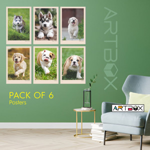 Dog Posters for Wall Decoration, Dogs Poster, Cute Puppy Posters Fine ...